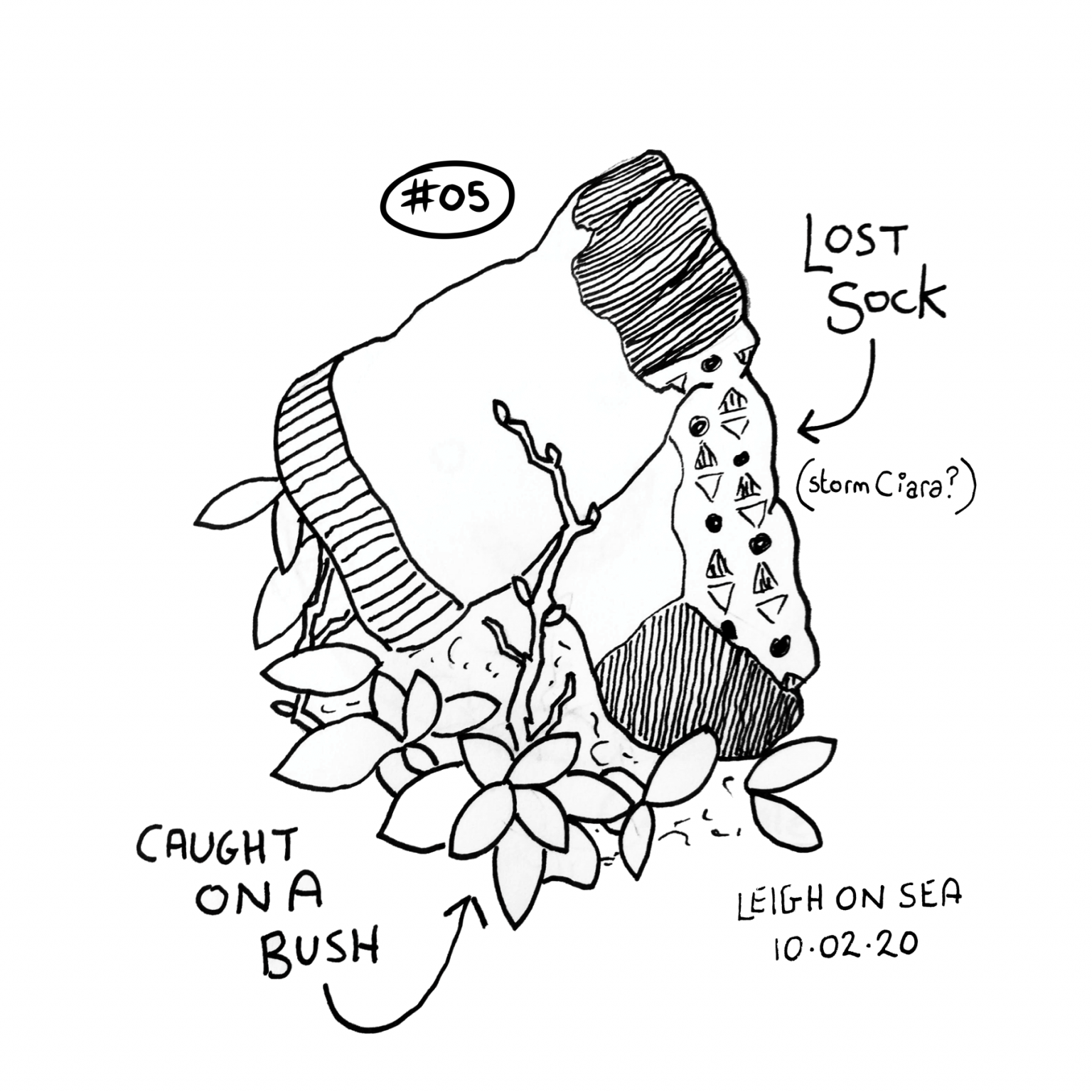 Home - Emily Jupitus