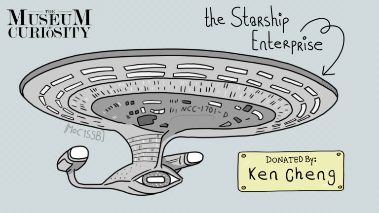 Museum Of Curiosity Gallery 15 – Room 5 - Emily Jupitus