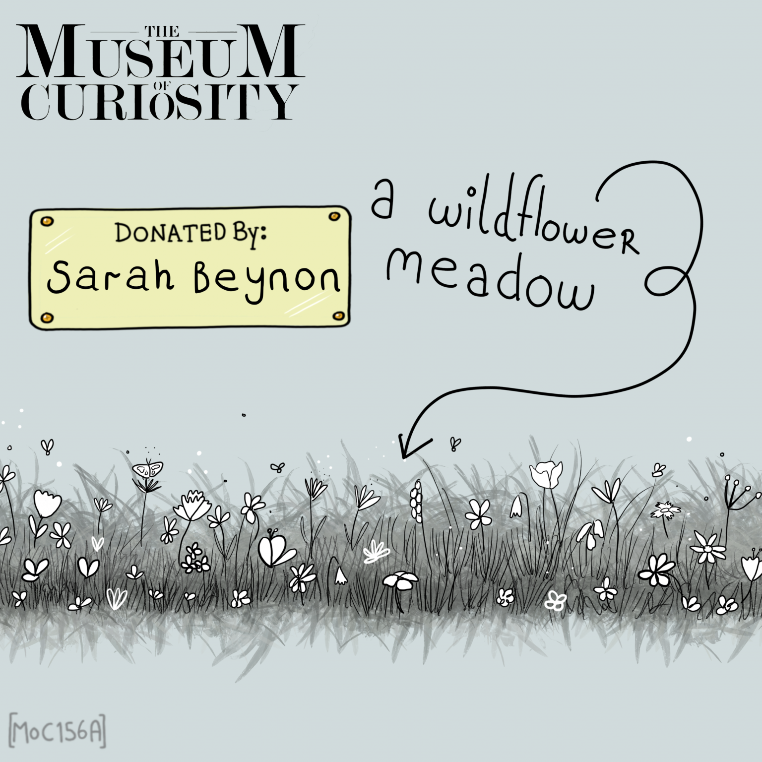 Museum of Curiosity - Emily Jupitus